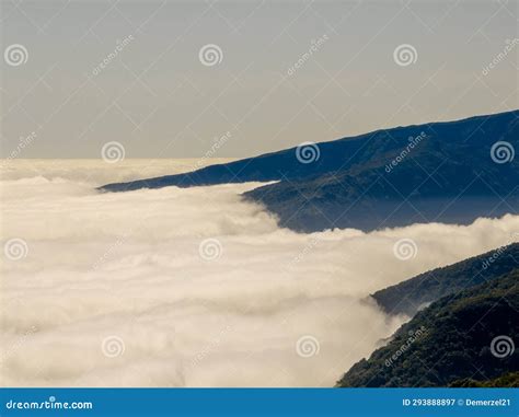 Fanal Forest Seixal Portugal Stock Image Image Of Destination