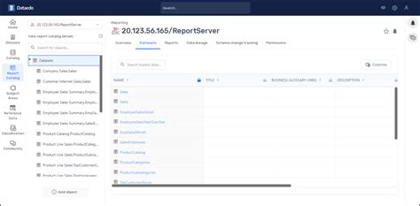 SQL Server Reporting Services SSRS Dataedo Documentation
