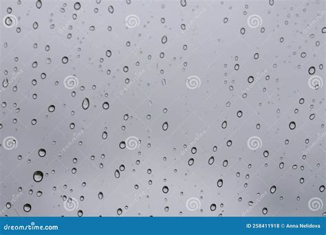 Small Raindrop On Leaf Of Rose Flower Stock Image 99212077