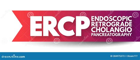 Ercp Endoscopic Retrograde Cholangiopancreatography Procedure To