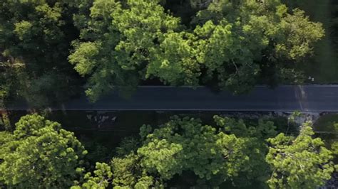 Ali Davey On Linkedin Fantastic Initiative By Csic