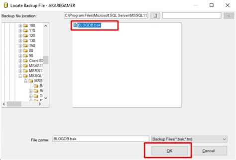 Sql Server Veritabanına Yedekten Geri Yükleme Sql Server Kategorisi