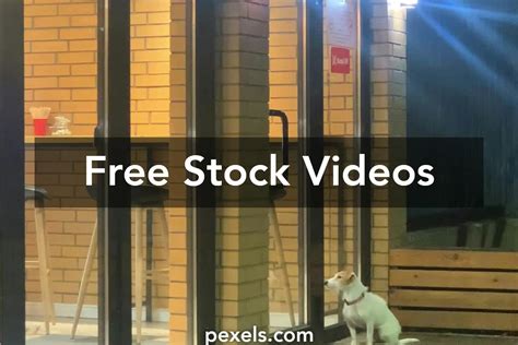 Bench Graph Videos Download The Best Free 4k Stock Video Footage And Bench Graph Hd Video Clips