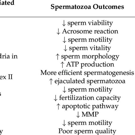 Spermatozoa Fitness Alterations Due To Mitochondrial Dysfunction