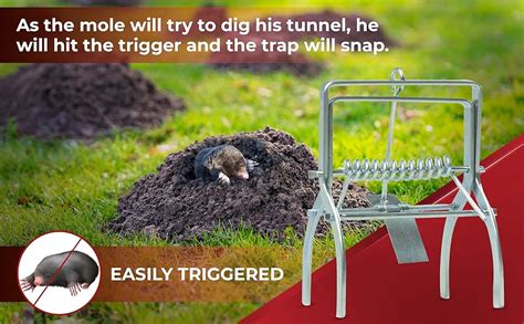 Crystals Mole Claw Trap To Catch And Kill Trap To Control Moles Protects