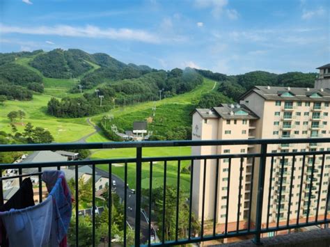 강원도 원주 오크밸리 리조트 스키빌리지 D동 37평형 방문후기 네이버 블로그