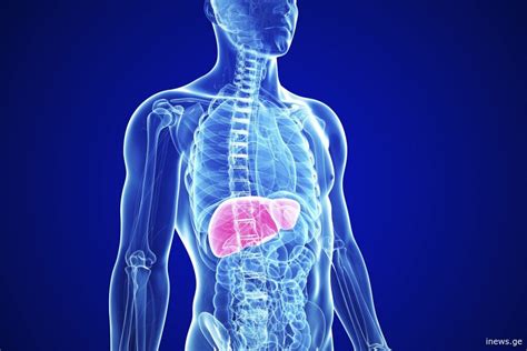 ბუნებრივი დანამატები რომლებიც ღვიძლს ანგრევს საგანგაშო გაფრთხილება Inews