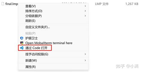 VS code的安装 中文界面 滚轮缩放设置 知乎