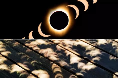 Amazing Way To Watch The Solar Eclipse Through Tree Leaves