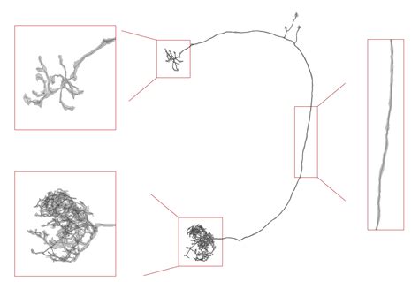 【亲测免费】 探索skeletor：三维网格骨架提取的python神器 Csdn博客