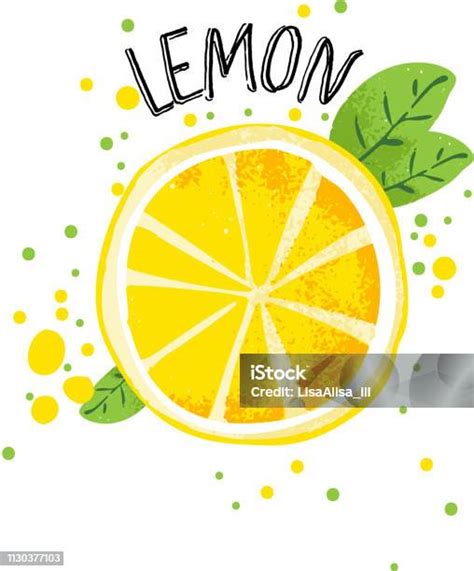 벡터 손 레몬 그림을 그립니다 반 하 고 흰색 배경에 고립 주스 밝아진와 레몬의 조각 질감된 노란 감귤 스케치 말씀 위에 레몬과 감귤 류의 과일 주스 잘 익은 신선한 레몬