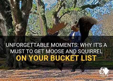 Unforgettable Moments Why Its A Must To Get Moose And Squirrel On