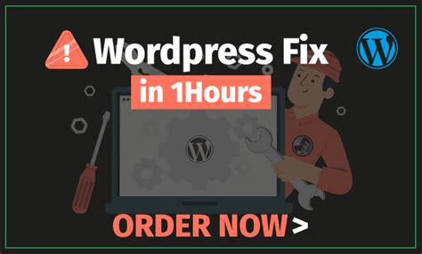 Fix Your Wordpress Website Issues Errors And Customize It By