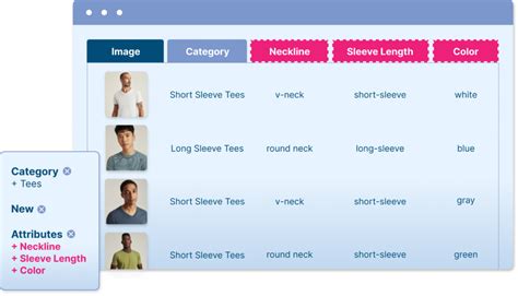 Introducing Attribute Enrichment