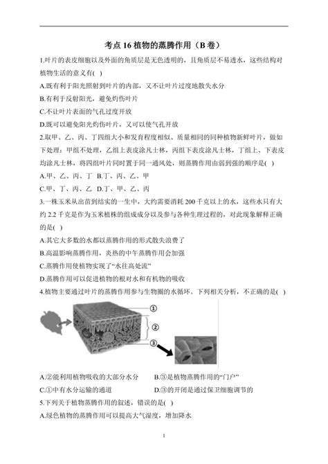 考点 届中考生物高频考点专项练习植物的蒸腾作用B卷含解析 世纪教育网 二一教育
