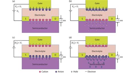Electrolyte Gated Transistors For Neuromorphic Applications