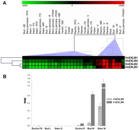 A Expression Data Were Normalized Based On The Mean Expression Value