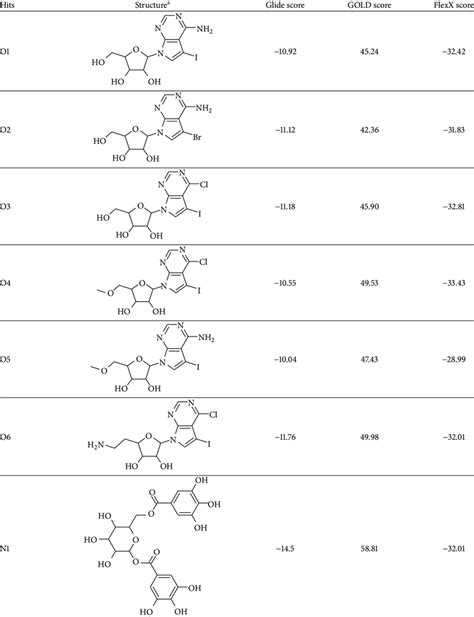 Docking Scores Of Top Hit Ligands Predicted From Different Structures Download Table
