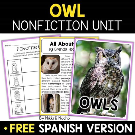 Fall Owl Unit Reading Passage And Activity Worksheets Free Spanish