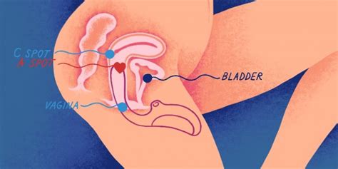 Sex Toys For A Spot Stimulation