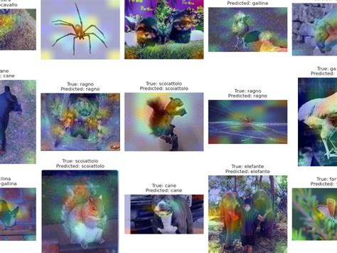 Image Classification And Object Detection Trained Model Upwork