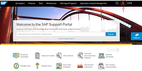 Usando Python Para Insertar Datos En Sap Con Pyrfc