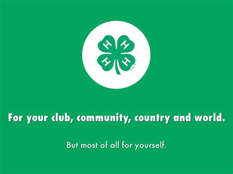 What Is Your 4 H Story More Importantly How Can