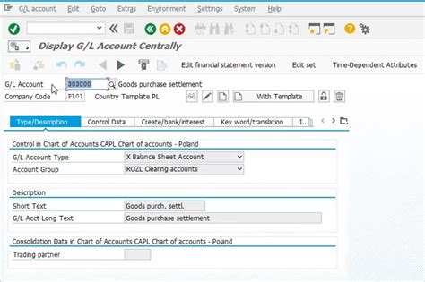 How To Solve Sap Error Only Input Tax Is Allowed For Account During