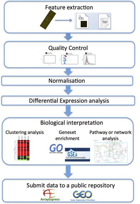 Analysis Of Microarray Data Functional Genomics Ii