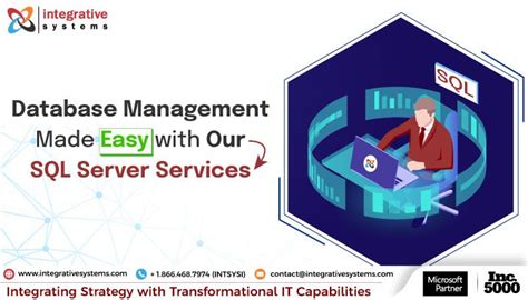 sql server service provider integrative systems