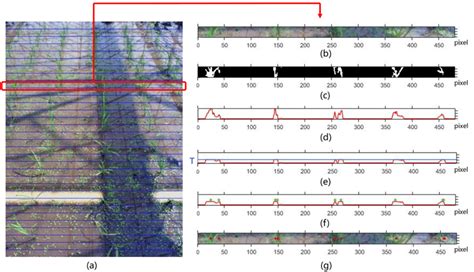 Feature Point Extraction A Original Image Of Paddy Field B Strip