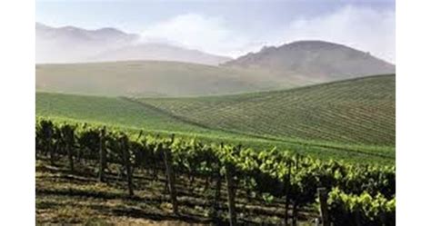 Започва прием на заявления за преструктуриране и конверсия на лозя Български Фермер