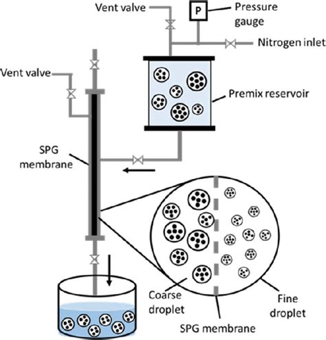 Schematic Representation Of Spg Membrane Emulsification Process Download Scientific Diagram