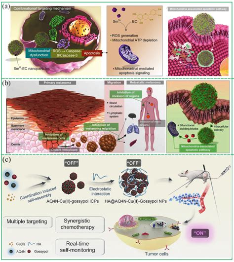 Recent Advances Of Metalpolyphenol Coordination Polymers For Biomedical Applications Pmc