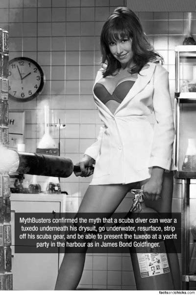 Mythbusters Confirmed The Myth That A Scuba Diver Tumbex