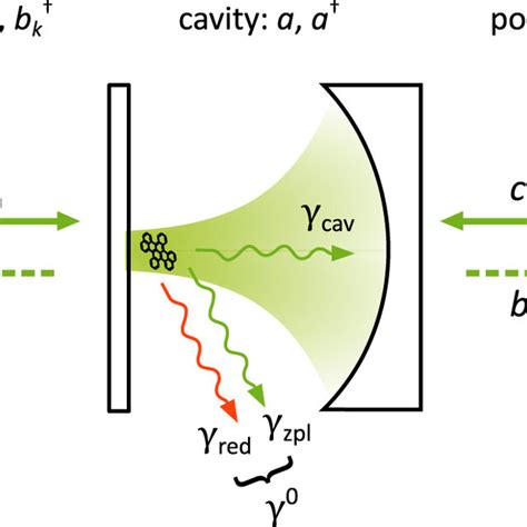 Illustration Of A Molecule Coupled To A Single Mode Cavity Spontaneous