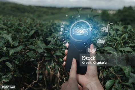 이산화탄소 배출 감소 환경 파괴 및 지구 온난화 감소 캠페인 공기 균형 유지 Co2 배출 방지 기술 사용 재생 에너지 사용 0에