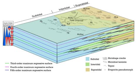 Scielo Brasil High Resolution Stratigraphy Of Peritidal Microbial