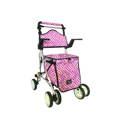 성인용보행기 뉴라이트스텝