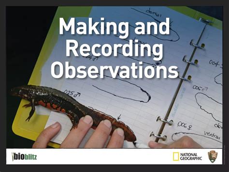 Observing And Recording Power Point Ppt