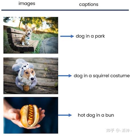 使用 Gradio 构建生成式 Ai 应用程序一 Image Captioning App 知乎