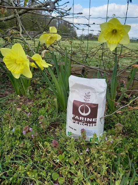 Farine De Blé Bio T55 1 Kg Chèvrefeuille