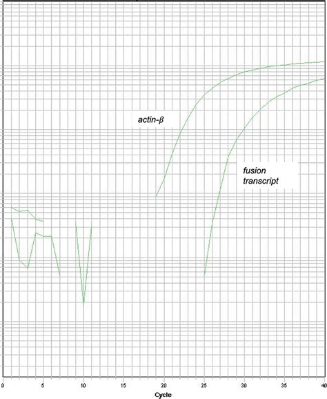 Detection Of The Fusion Transcript Using Real Time Pcr The Download Scientific Diagram