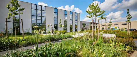 Sioen Industries On Linkedin Sioentalent Passioen Greendeal Biodiversity Landscaping Nature