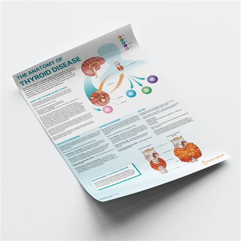 The Anatomy Of Thyroid Disease Chart Poster Laminated Endocrine Health Anatomystuff