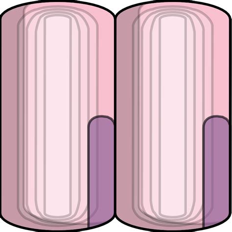 Lambda Light Chain Figure Science Figures