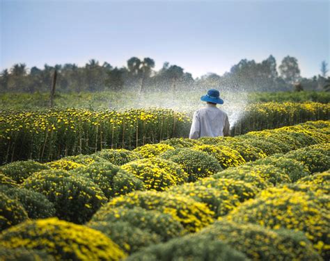 Ecell Anti Aging Technologies