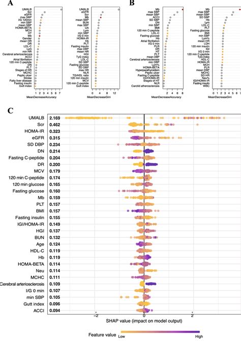 feature importance analysis and model interpretation results a b
