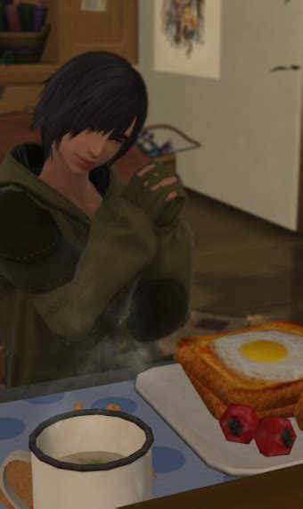 Lazy Day Eorzea Collection