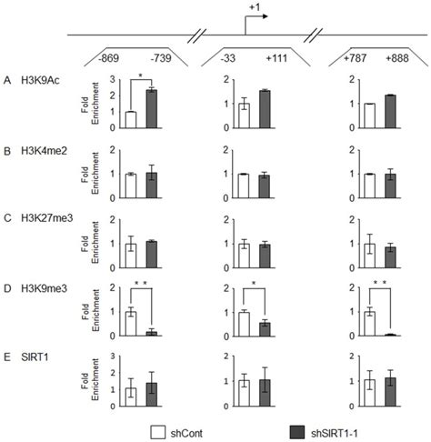 Three Regions Shown In The Upper Panel Were Investigated By Chip Qpcr Download Scientific